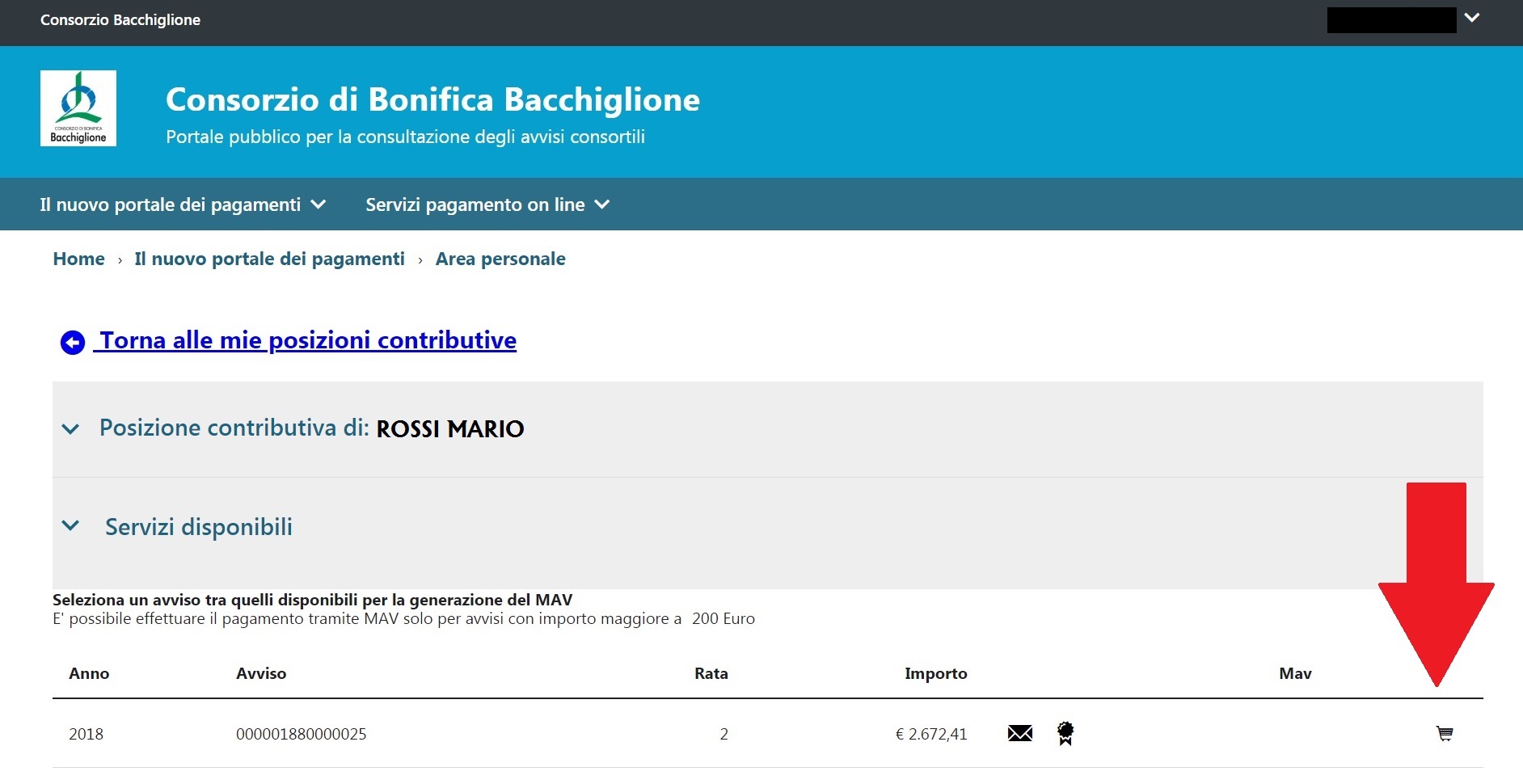 Consorzio di Bonifica Bacchiglione